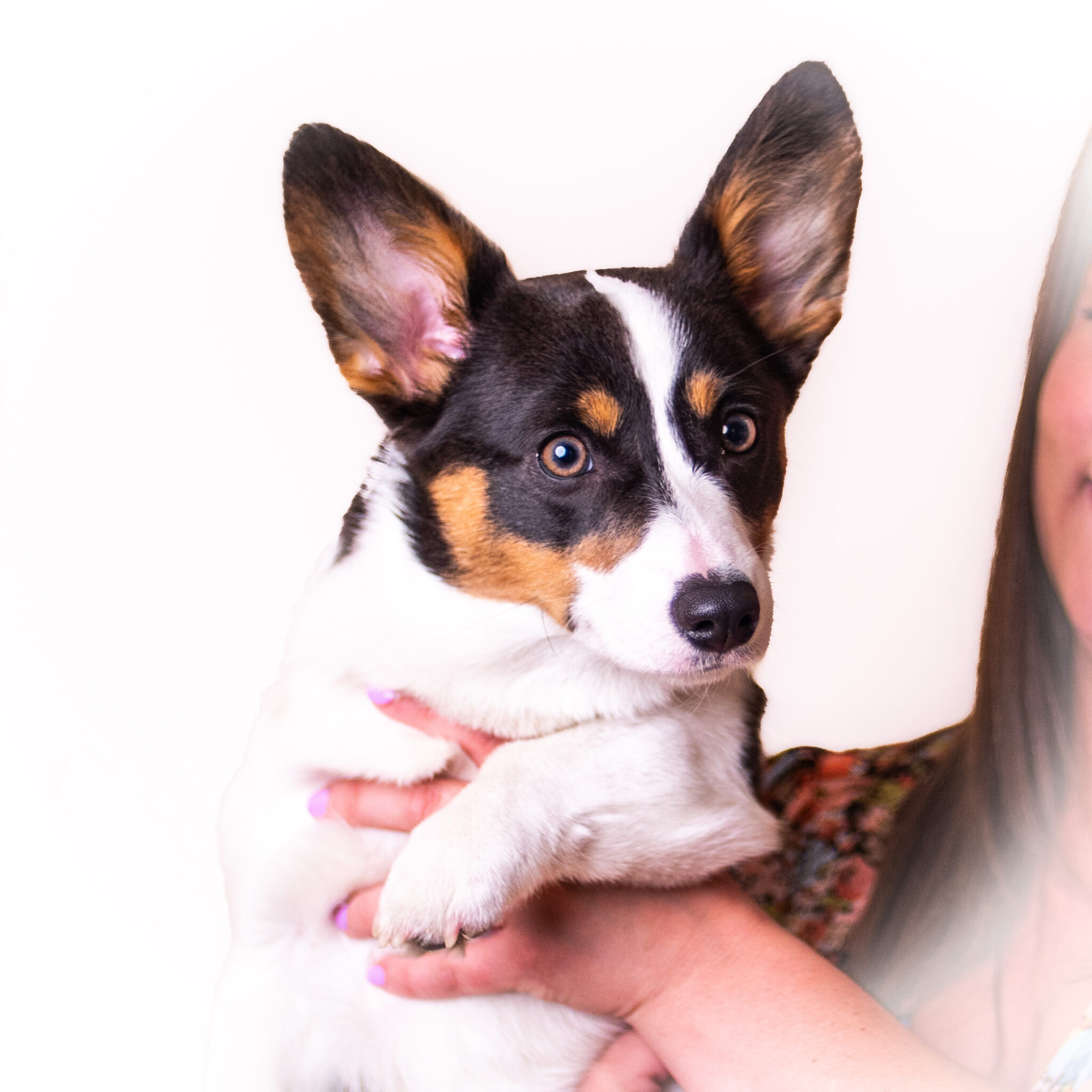 Tips For Effective Rent Collection – RENT BEAVERTON HOMES .COM